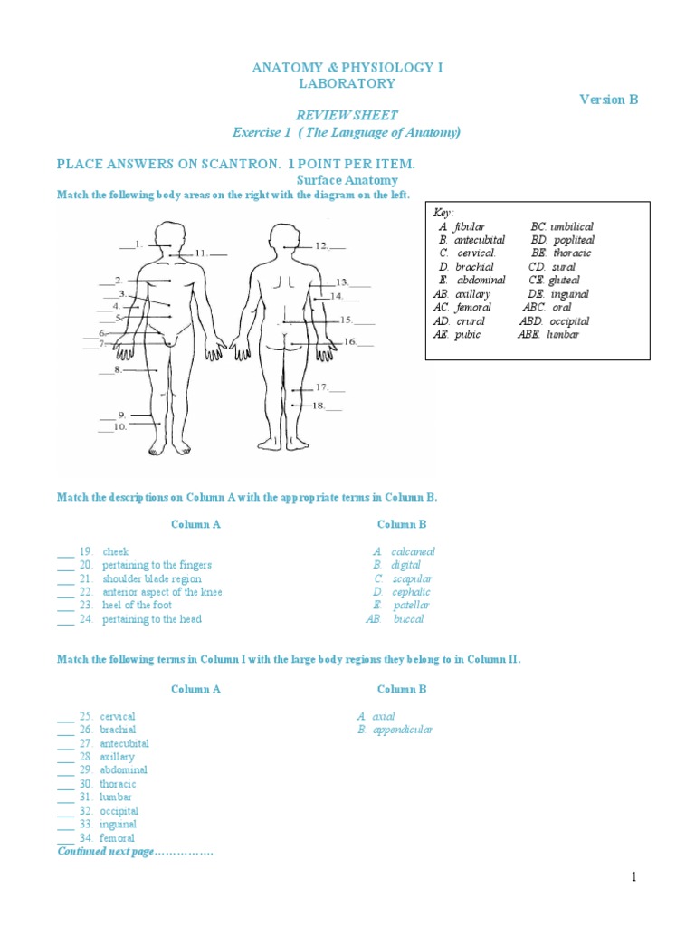 Anatomy & Physiology I Laboratory Version B: Review Sheet Exercise 1 ...
