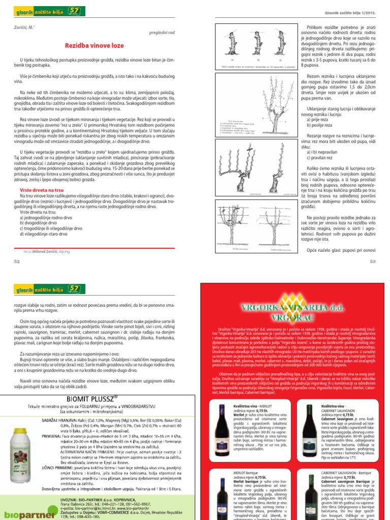 Rezidba Vinove Loze PDF | PDF