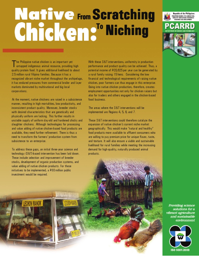 Native Chicken | Chicken | Selective Breeding