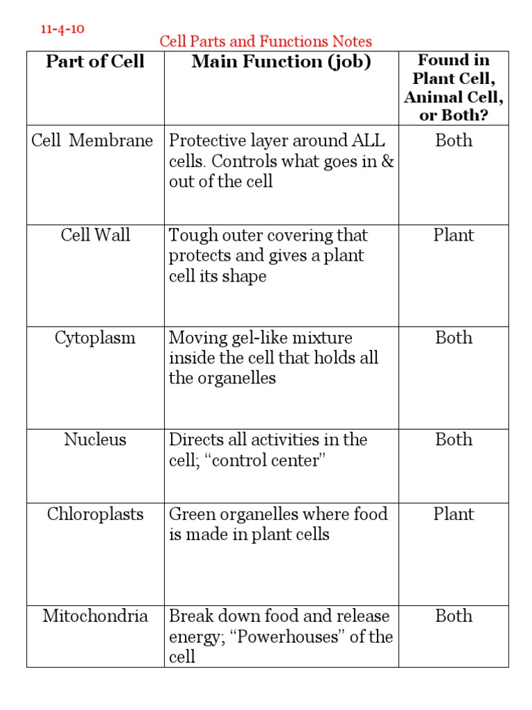 Cell Part and Functions | PDF