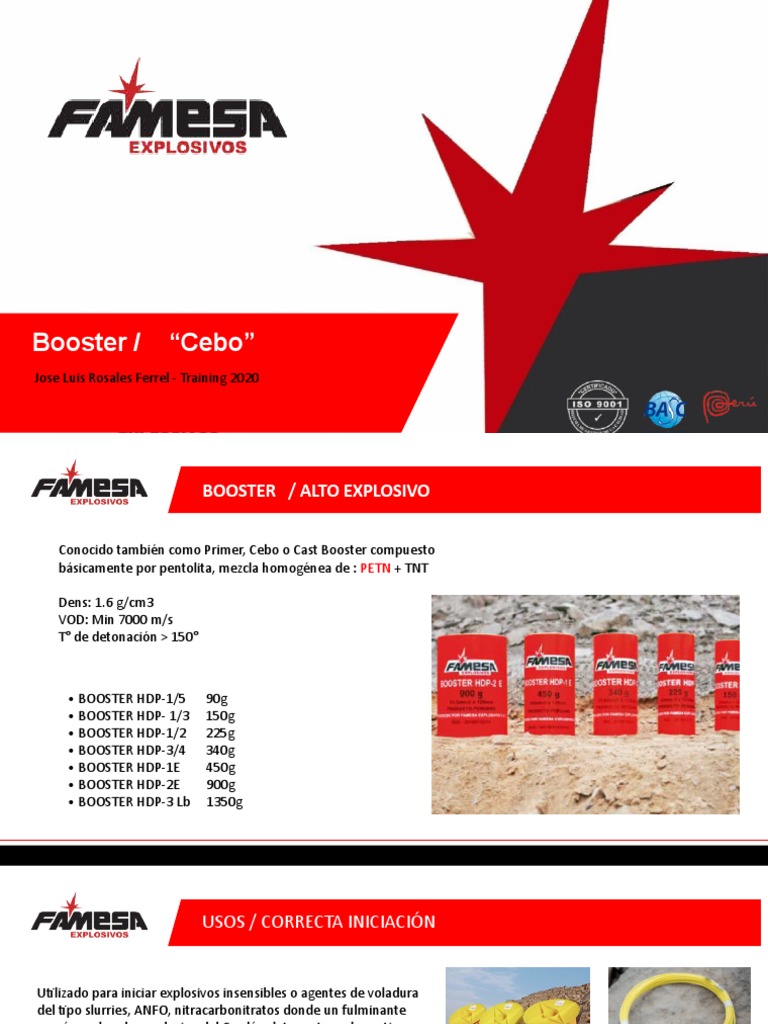 Booster-Calidad Famesa | PDF