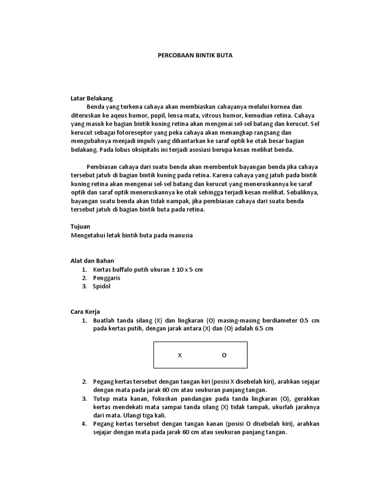 Portofolio Bintik Buta | PDF