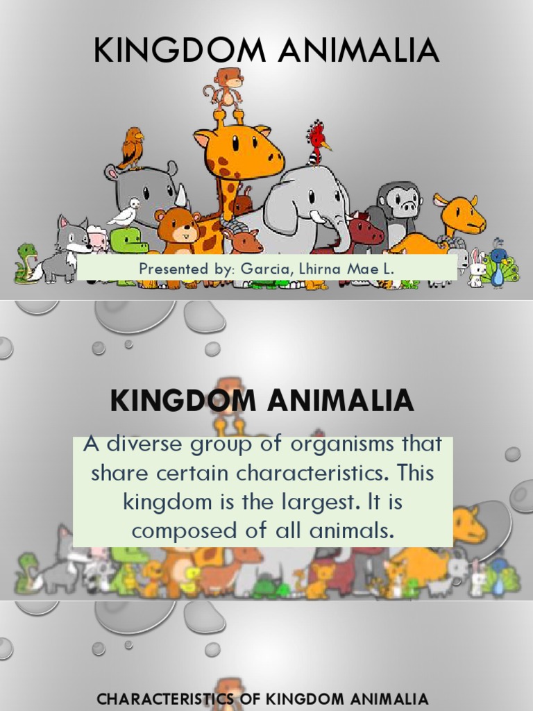 Animal Kingdom Overview | PDF | Science & Mathematics