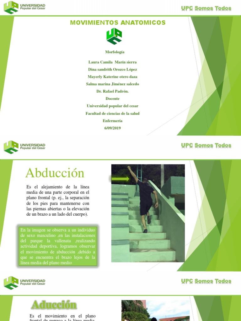 Movimientos Anatomicos | PDF