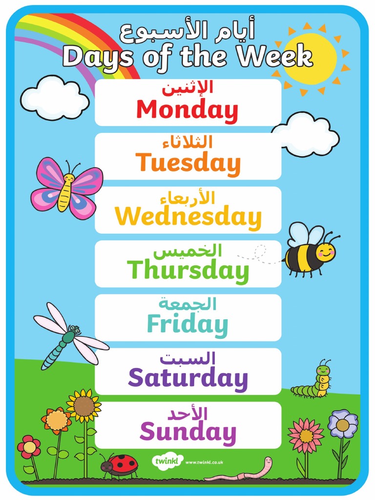 AR T C 1206 Days of The Week Display Poster Arabic English | PDF