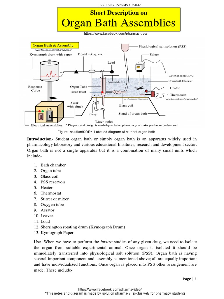 Histamine Chamber Apparatus Sop | PDF
