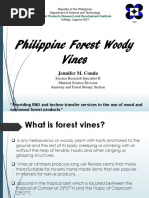 Apitong Tree: Characteristics and Uses | PDF | Home & Garden