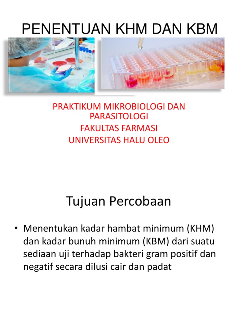 Penentuan KHM Dan KBM | PDF