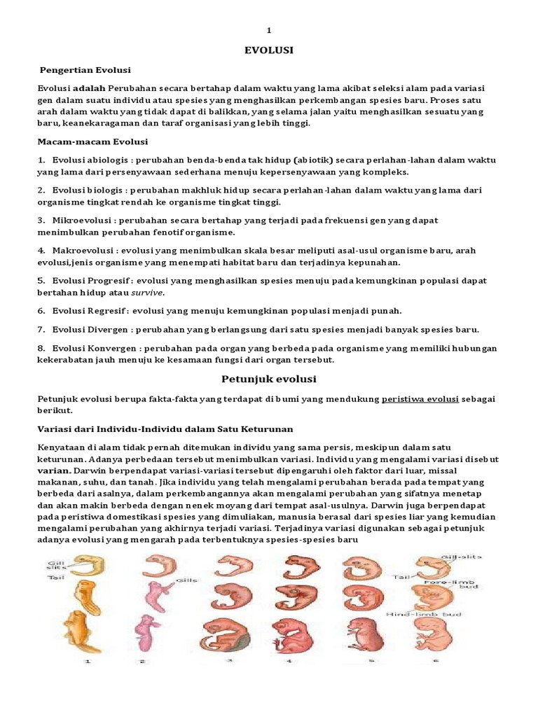 Evolusi Makhluk Hidup | PDF