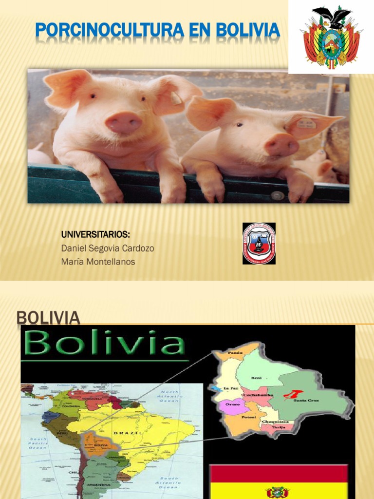 Segovia-Montellanos - Porcinocultura en Bolivia PDF | PDF