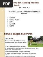 Jenis-Jenis Sapi di Indonesia | PDF