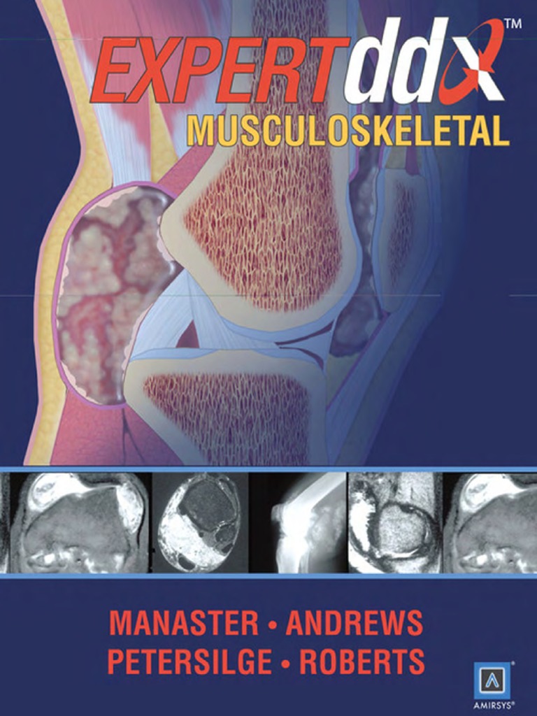Expert DD MSK | PDF