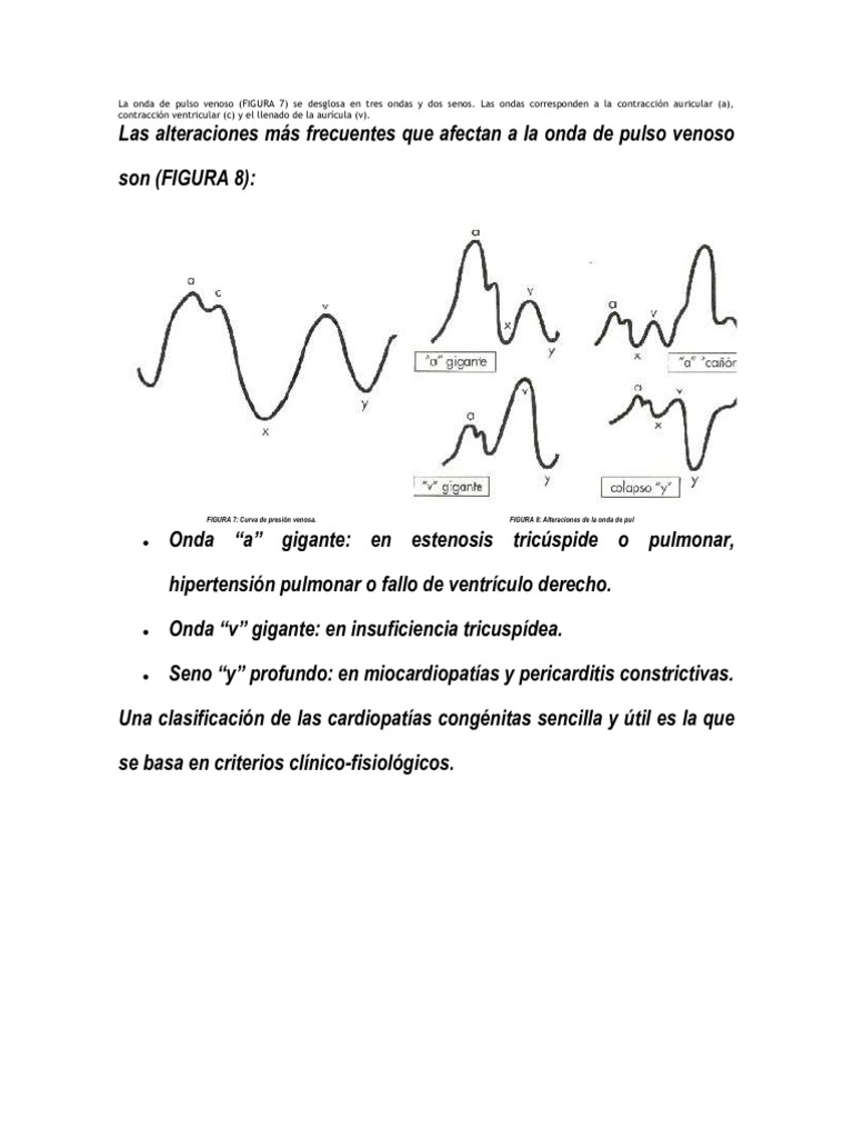 La Onda de Pulso Venoso | Corazón | Órgano (anatomía)