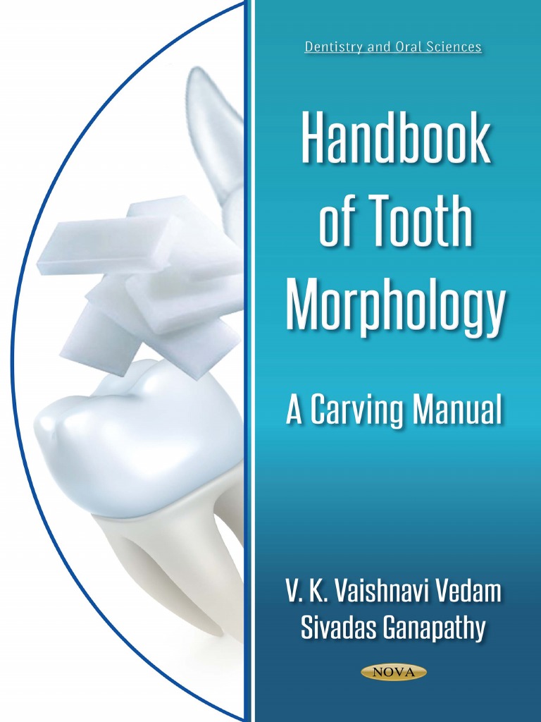 Handbook of Tooth Morphology PDF | PDF