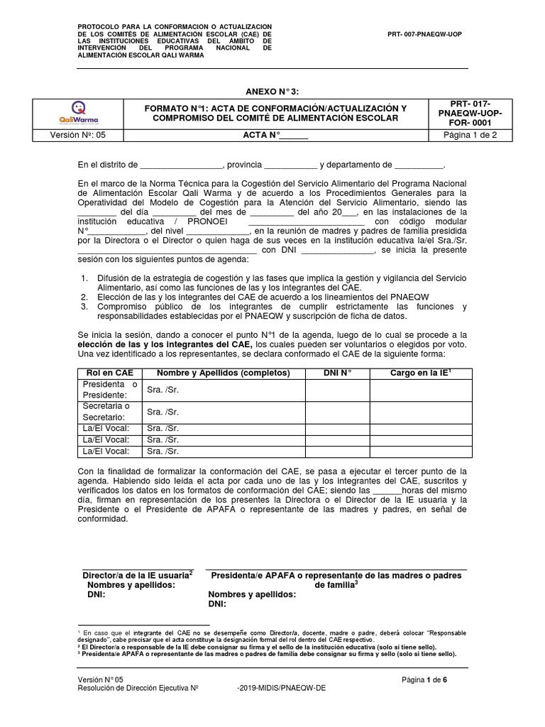 Formatos Conformación de Cae 2020 | PDF