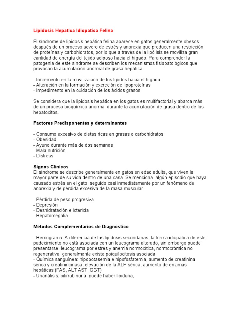 El síndrome de lipidosis hepática felina | Tejido adiposo | Hígado