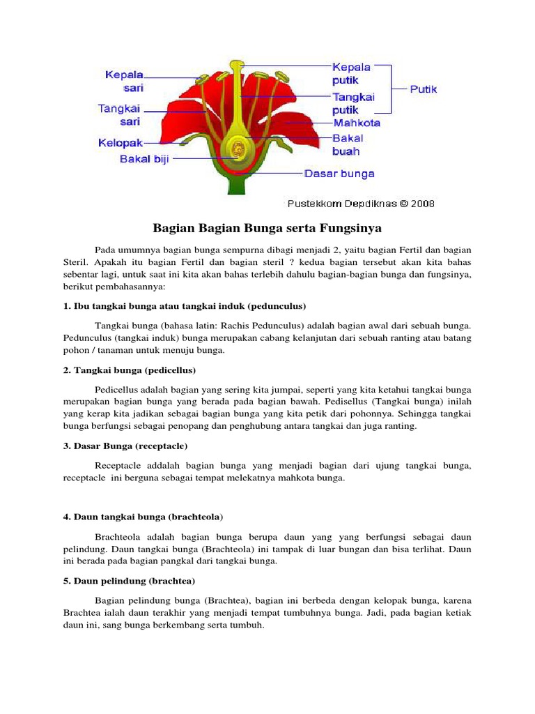 Bagian Bagian Bunga Serta Fungsinya | PDF | Griya & Taman | Sains ...