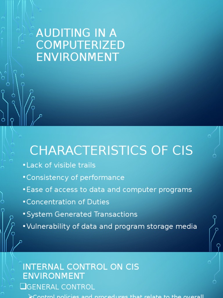 Computerized Auditing Essentials | PDF