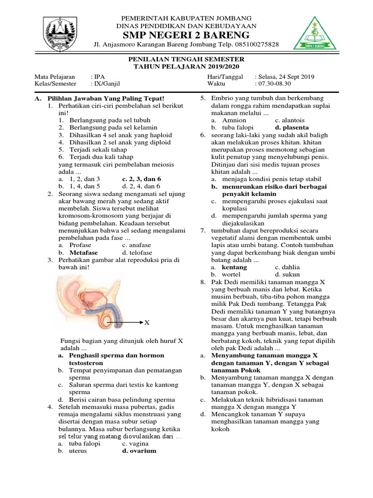 Soal Uts Ipa Kelas 9 Semester 1 Pdf