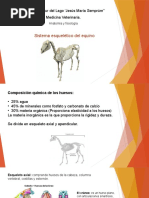 Fórmulas Vertebrales de Animales | PDF