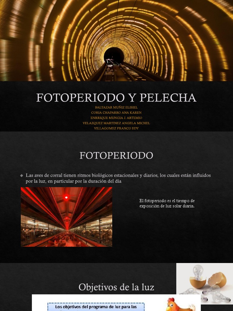 Fotoperiodo y Pelecha | PDF
