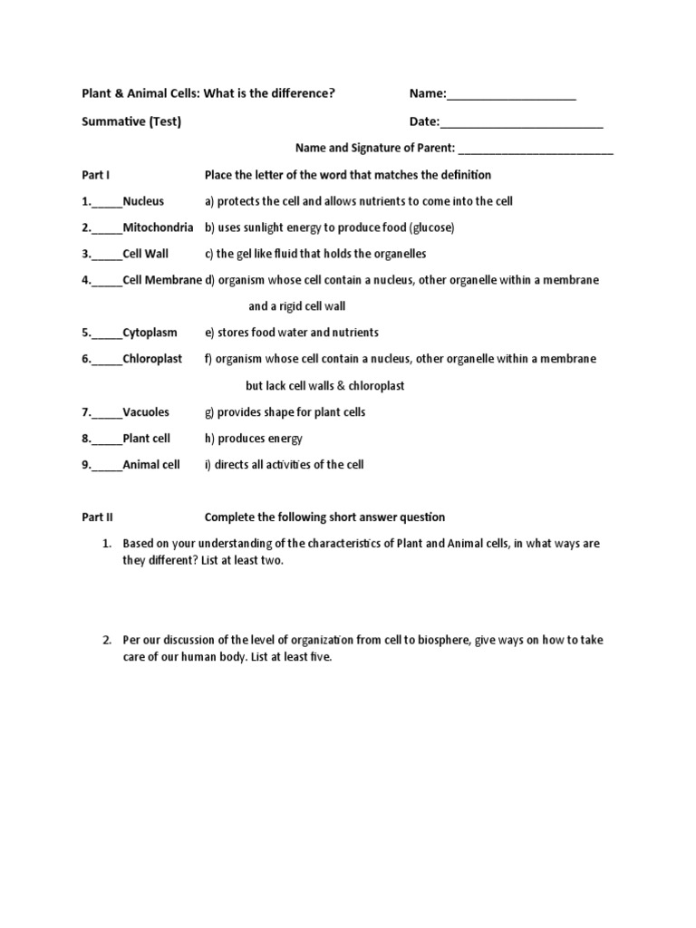 Plant and Animal Cells Test Worksheet | PDF | Science & Mathematics