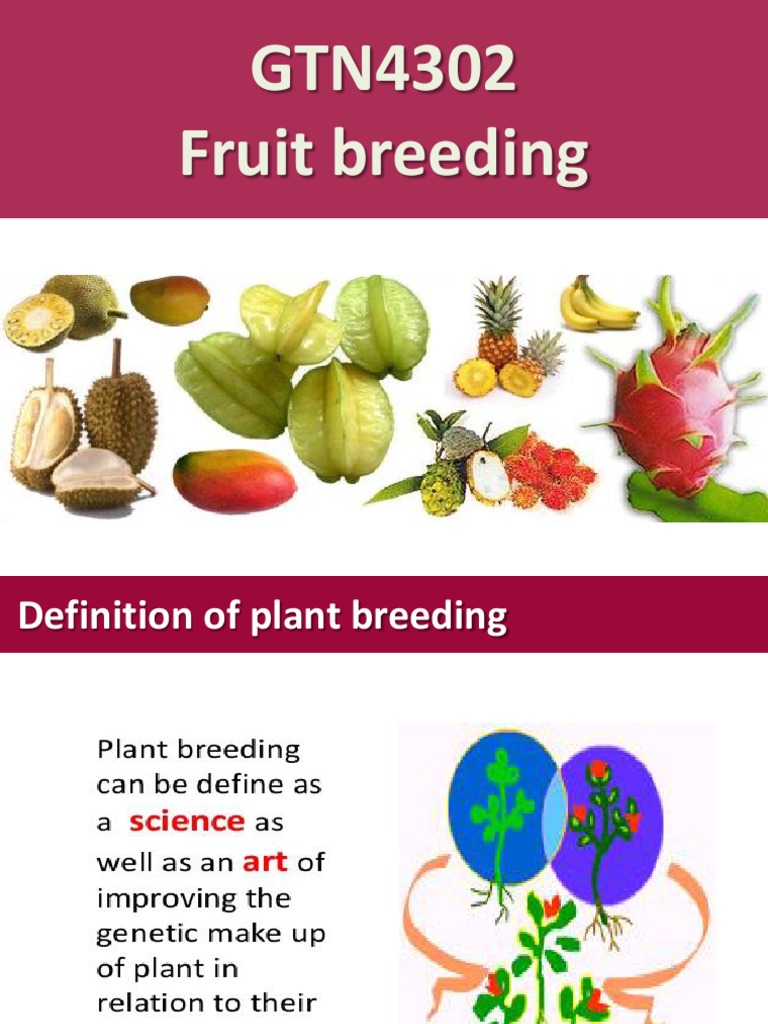 Fruit Breeding 20181003 | PDF
