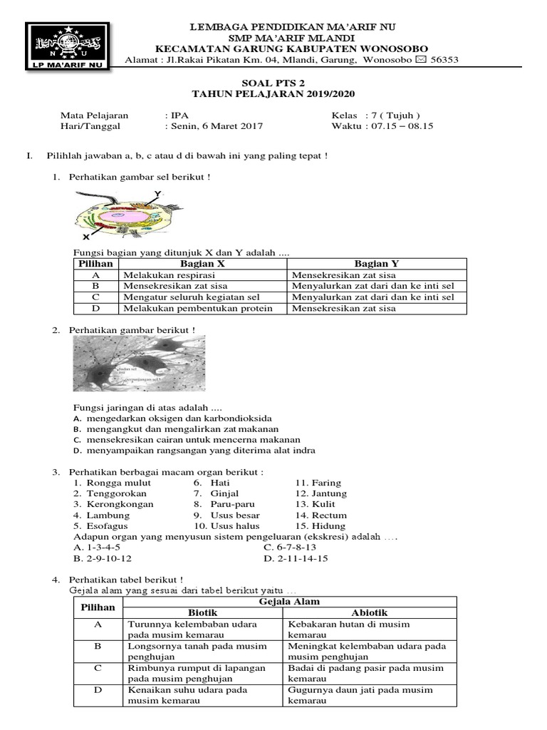 Uts 2 Ipa KLS 7 201920 | PDF