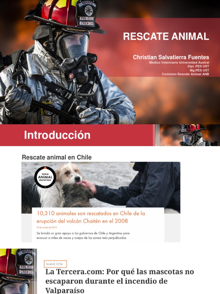 Rescate Animal | PDF