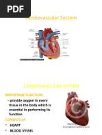 Cardiac Study Guide | PDF | Heart Failure | Cardiac Arrhythmia