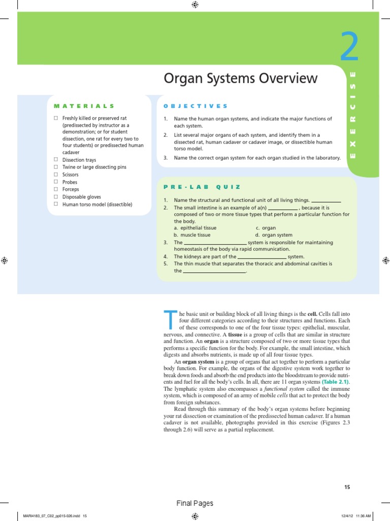Overview of Human Organ Systems | PDF | Self-Improvement | Wellness