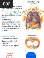 Chapman Points Table | PDF | Anatomical Terms Of Location | Neck