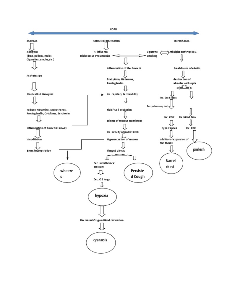 COPD Pathophysiology | PDF | Respiratory Tract | Chronic Obstructive ...