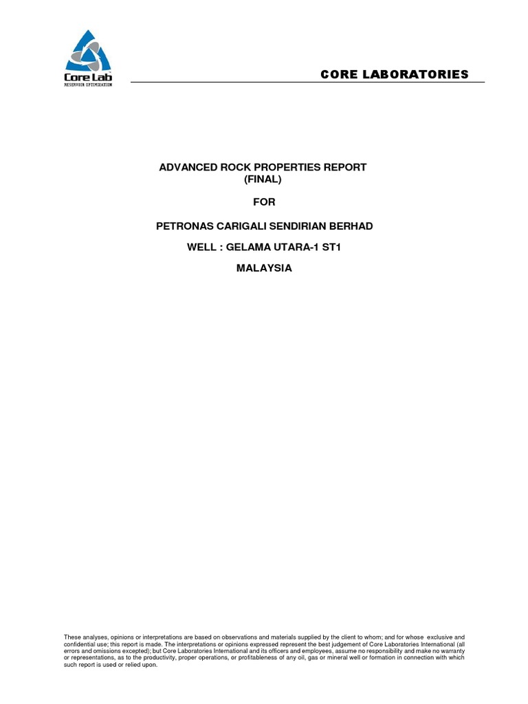 Core Analysis - Final Report - Updated | PDF