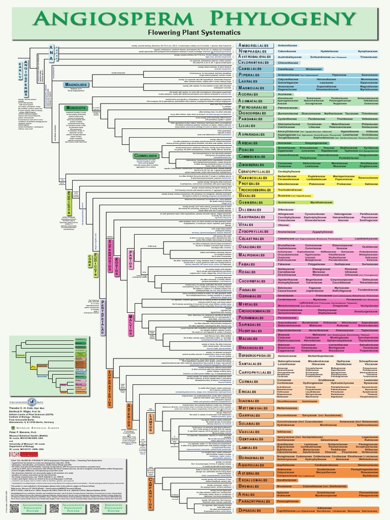 APG IV Poster PDF | PDF