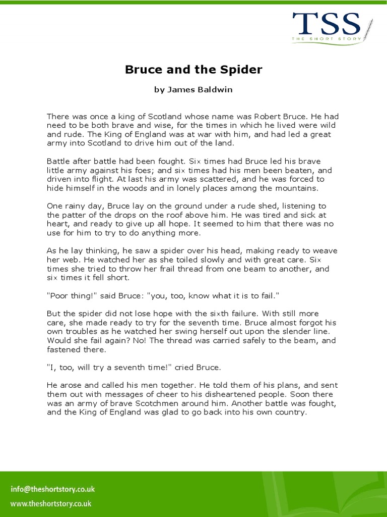 Bruce and The Spider | PDF