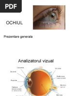Nanism Hipofizar Si Tiroidian | PDF