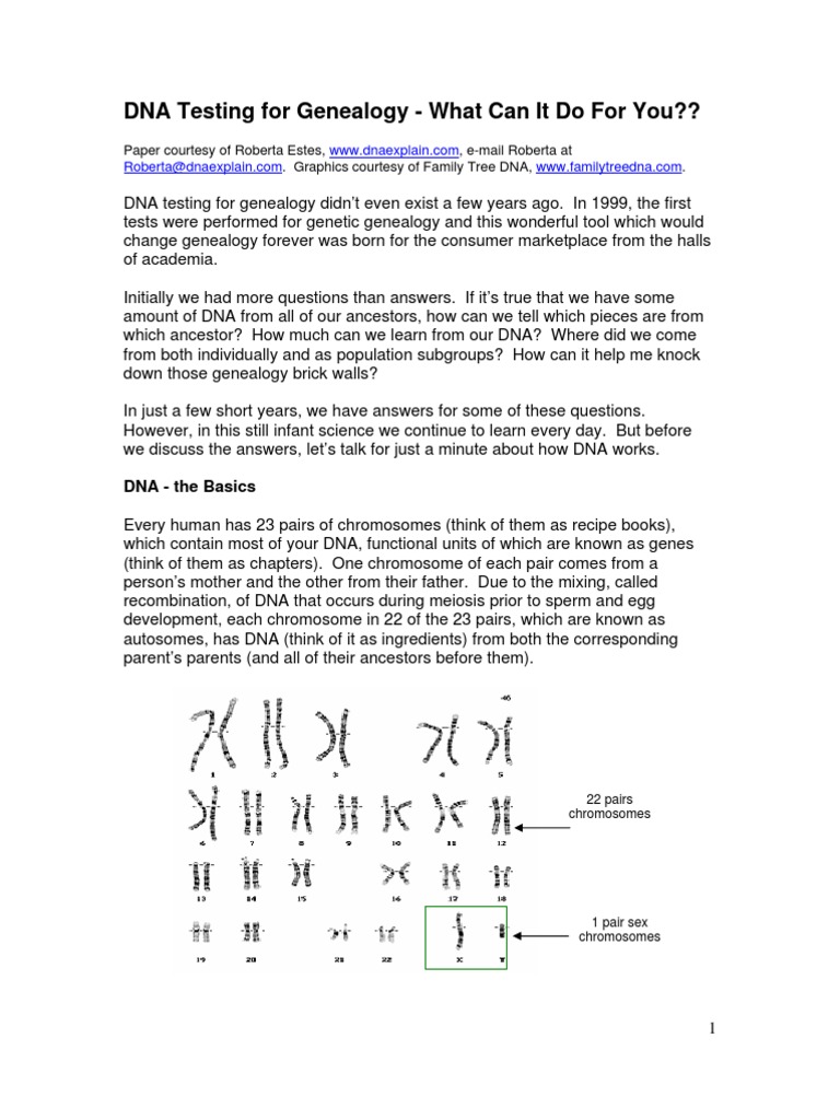 DNA Testing For Genealogy - Basics - 5-19-2009 | PDF | Mitochondrial ...