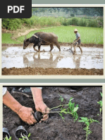 Module 2 Farm Inputs | PDF | Technology & Engineering