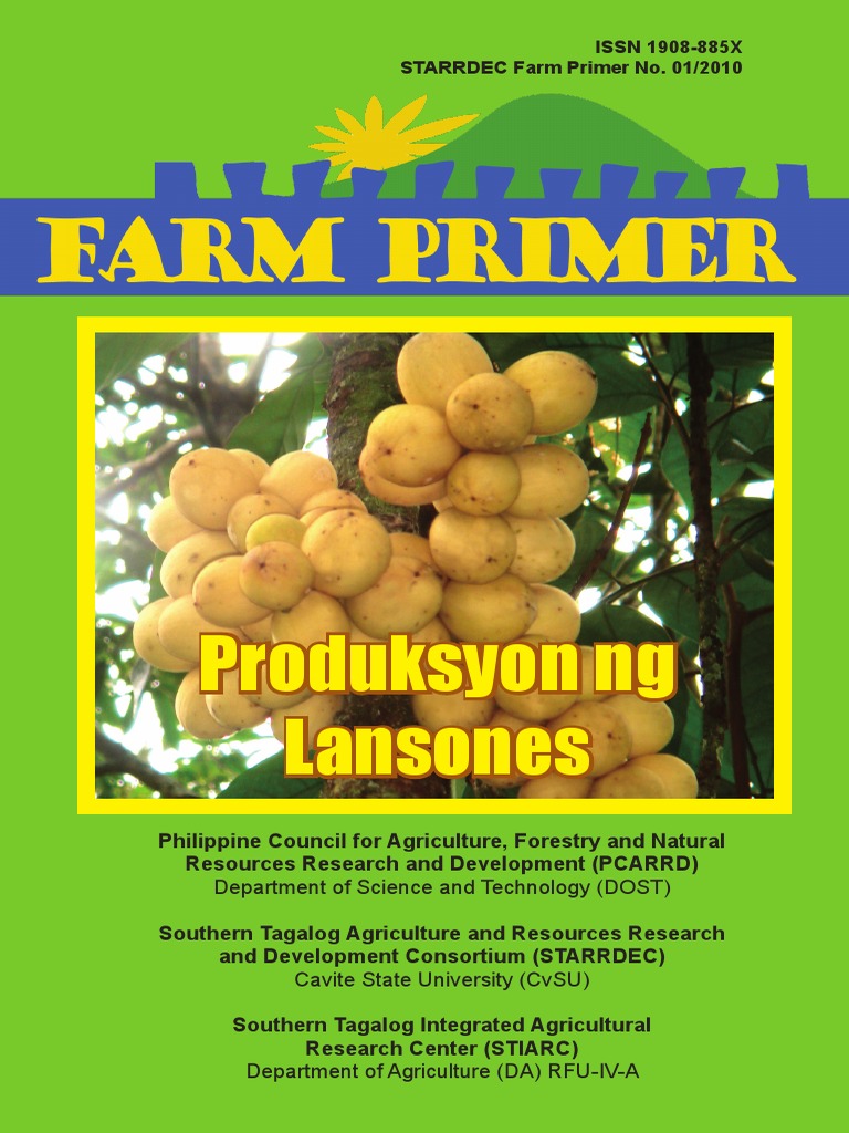 STARRDEC - Produksyon NG Lanzo | PDF