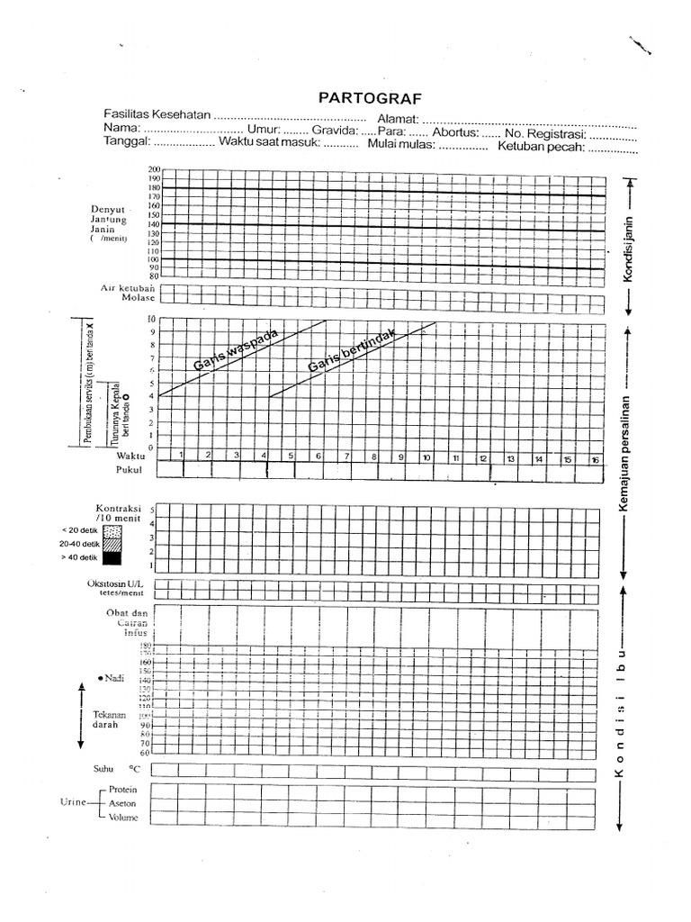 Lembar Observasi Partograf | PDF