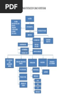 Organigrama Tiendas D1 | PDF