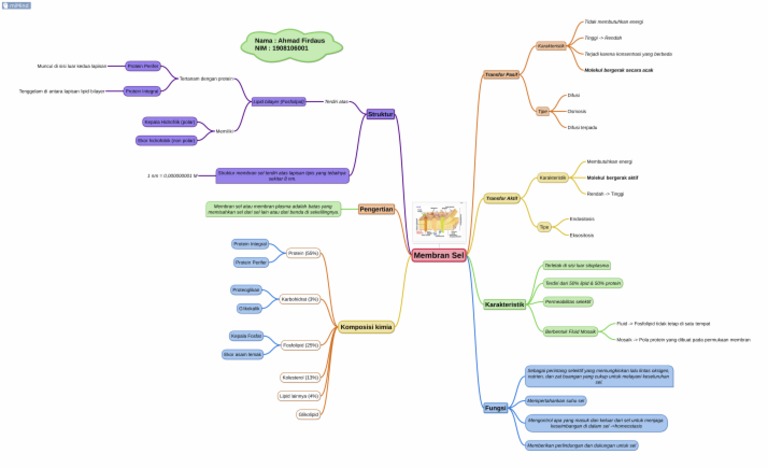 Mind Map Struktur Dan Fungsi Membran Sel | PDF