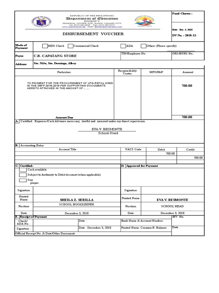 ORS and DV Documentation Guide | PDF