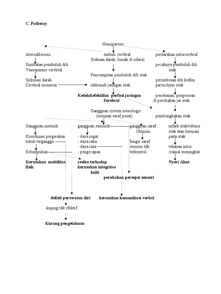Pathway Infar Cerebri | PDF
