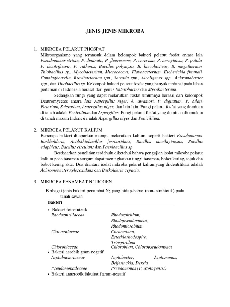 Jenis Jenis Mikroba | PDF