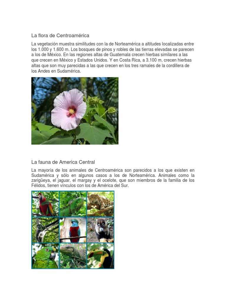 La Flora de Centroamérica | PDF