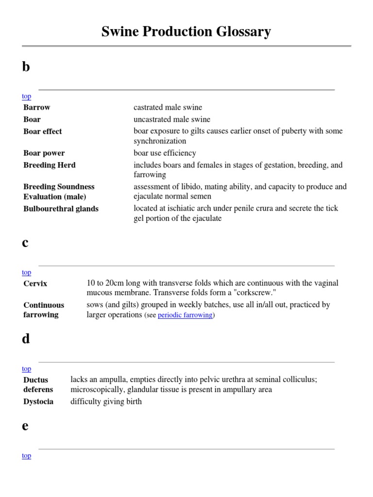 Swine Production Glossary: A Comprehensive Guide to Common Terms Used ...