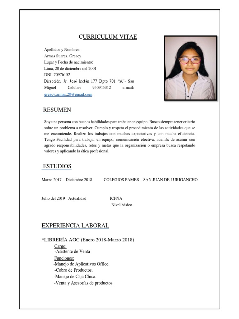 CV Grey | PDF