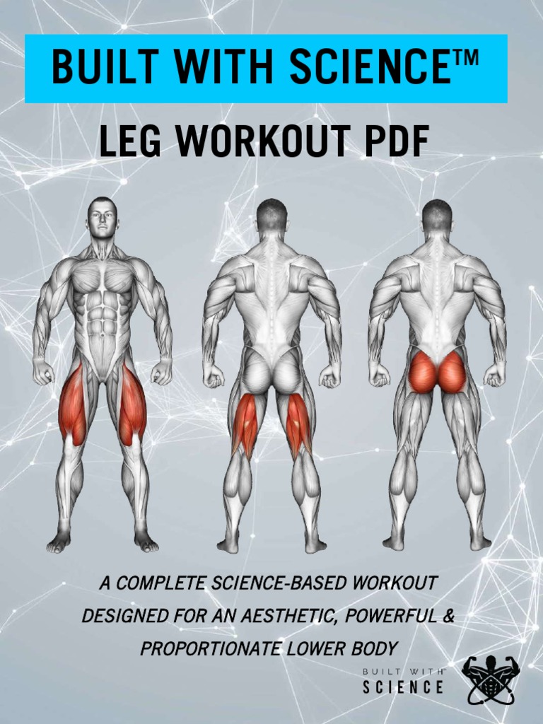 Leg Workout PDF | PDF | Dietitian | Foot
